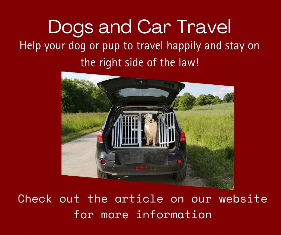 Training Puppy to Travel in the Car